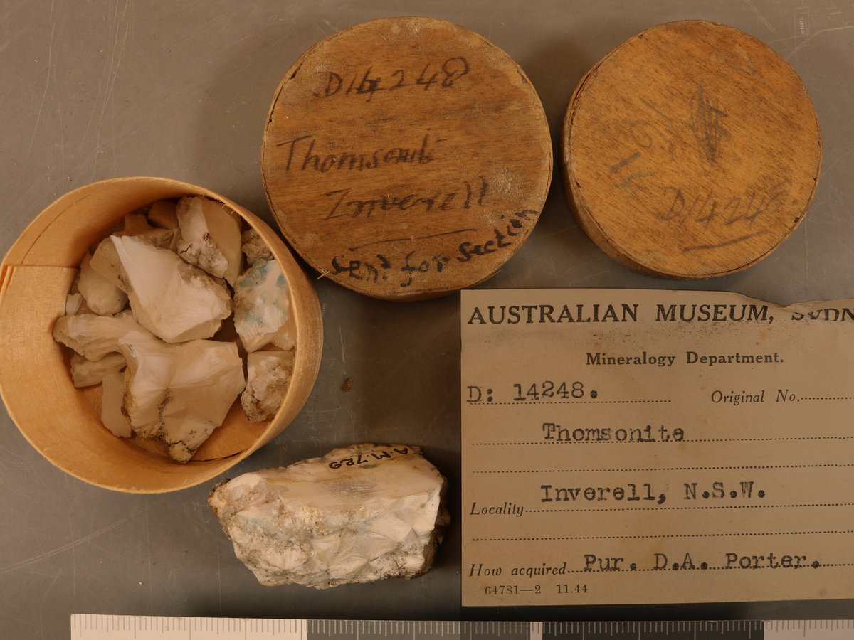 Australian Museum timelines - The Australian Museum