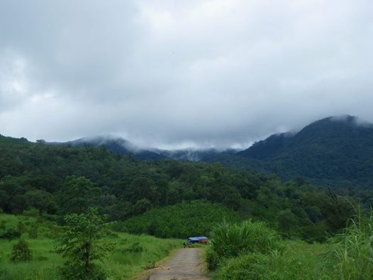 Welcome to the Jungle - Day 1 - The Australian Museum Blog