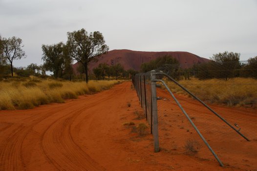 Mixing mala: how genetics informs threatened species management - The ...