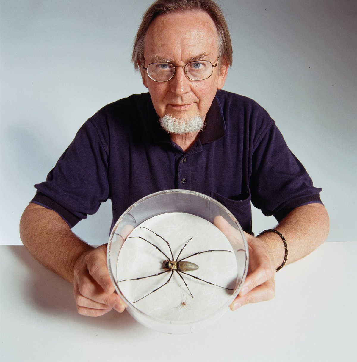 Vale Michael R.B. Gray, former Australian Museum Arachnologist - The ...