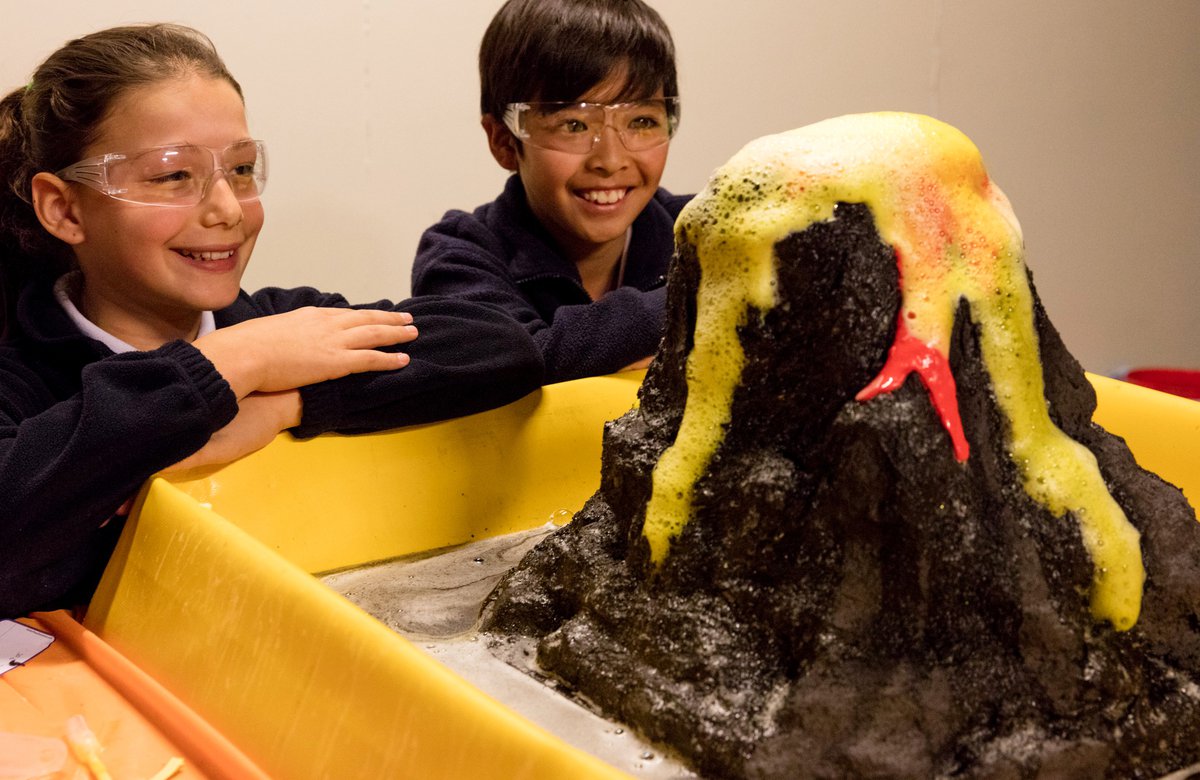 Activities for kids at home - The Australian Museum