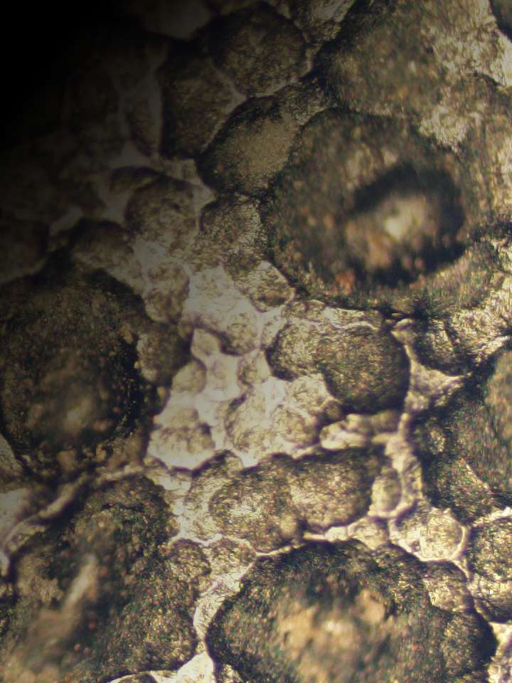 Rocks from space - The Australian Museum