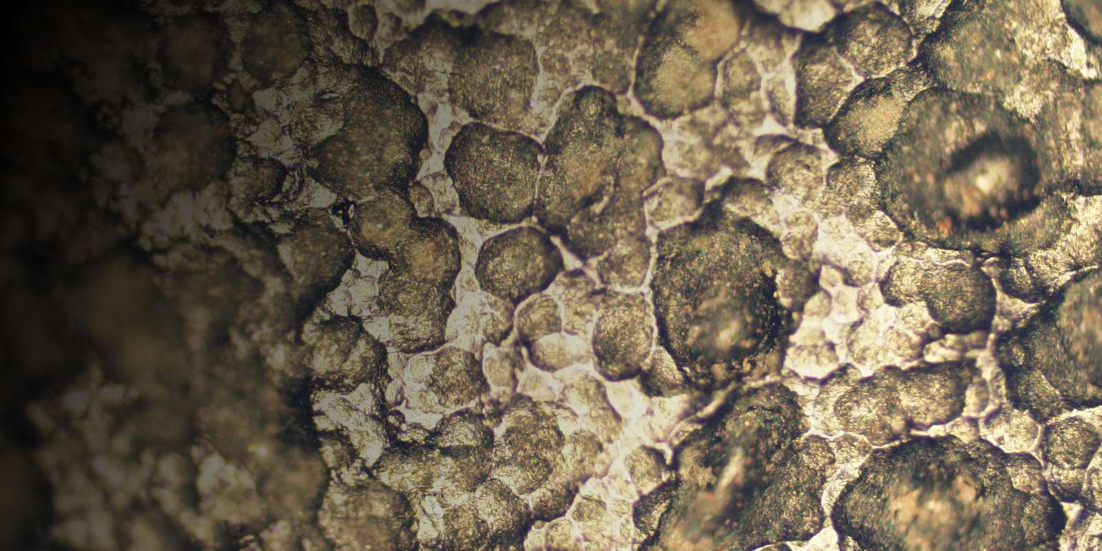 Rocks from space - The Australian Museum