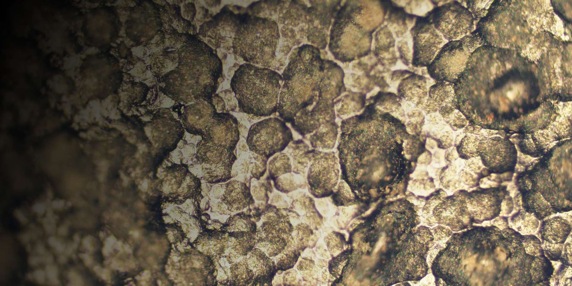 Rocks from space - The Australian Museum