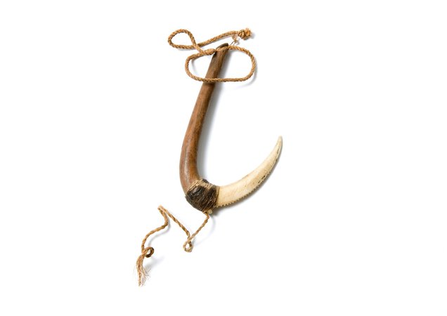 Māori fish hooks - The Australian Museum