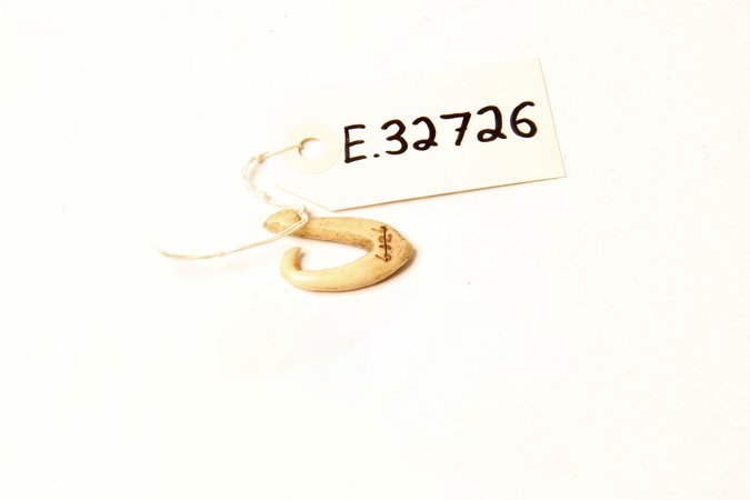 Māori fish hooks - The Australian Museum
