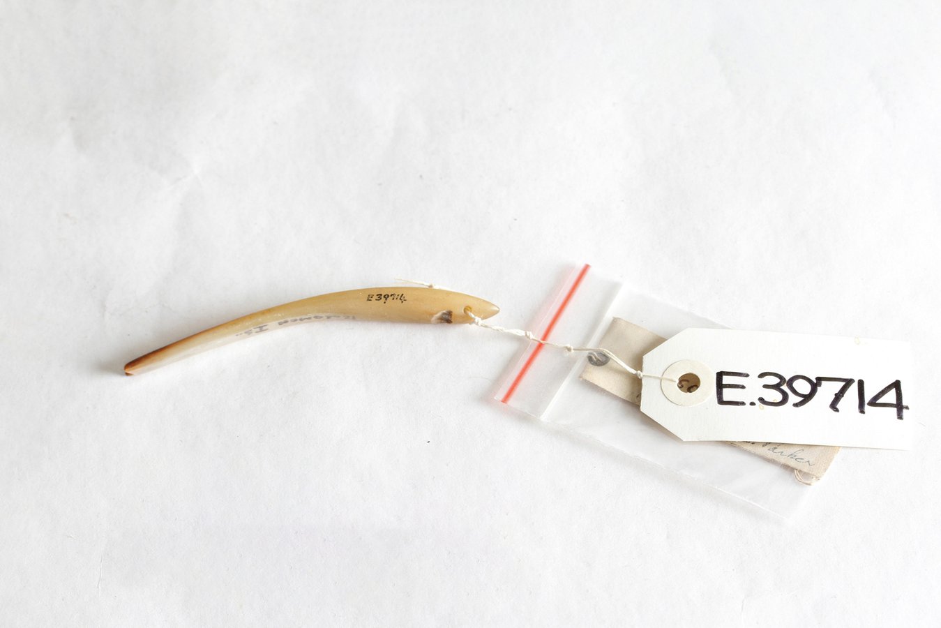 Solomon Islands fish hooks - The Australian Museum