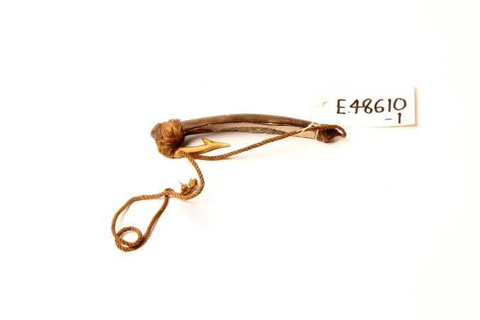 Māori fish hooks - The Australian Museum