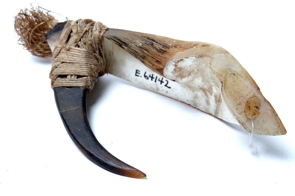 Caroline Islands fish hooks - The Australian Museum