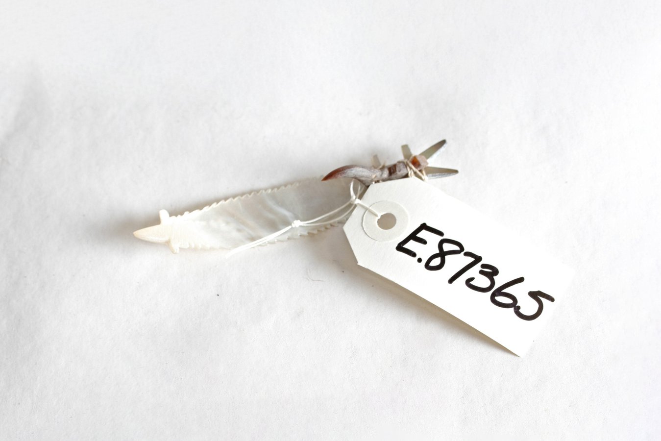 Solomon Islands fish hooks - The Australian Museum