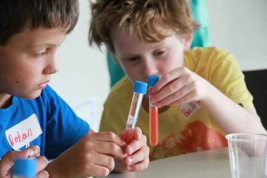 Day in the Life of a Scientist - The Australian Museum Blog