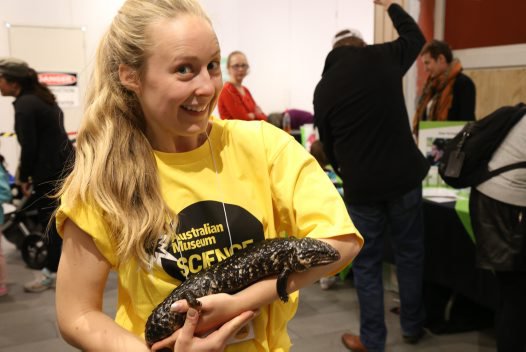 Collaboration is the key to success! - The Australian Museum Blog