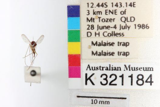 DigiVol: Why volunteer? - The Australian Museum Blog