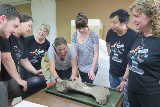 DigiVol: It keeps getting better - The Australian Museum Blog