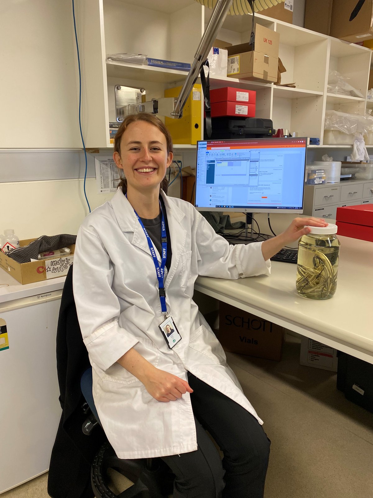 Indiana Riley - The Australian Museum