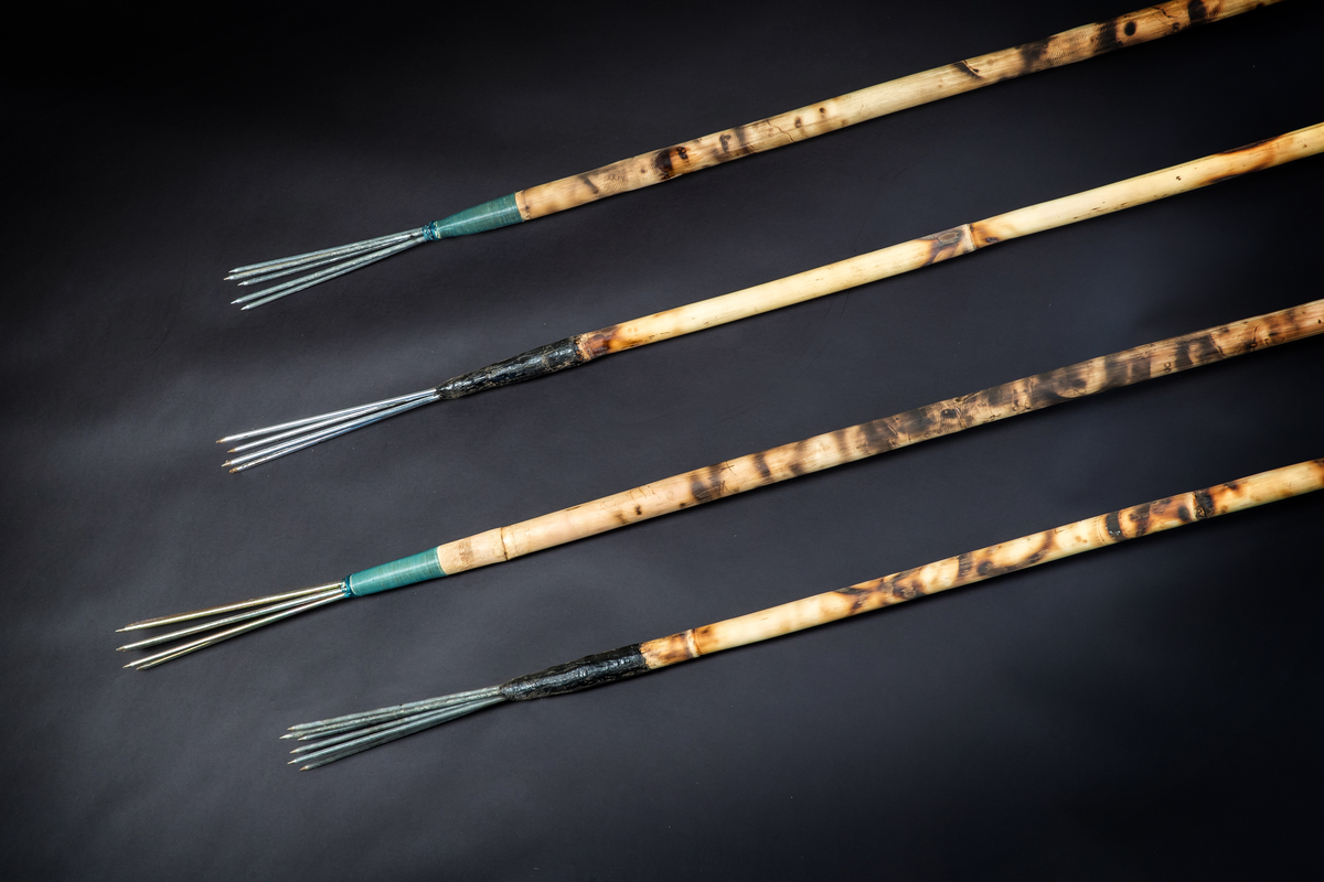 Unsettled: History-focus unit