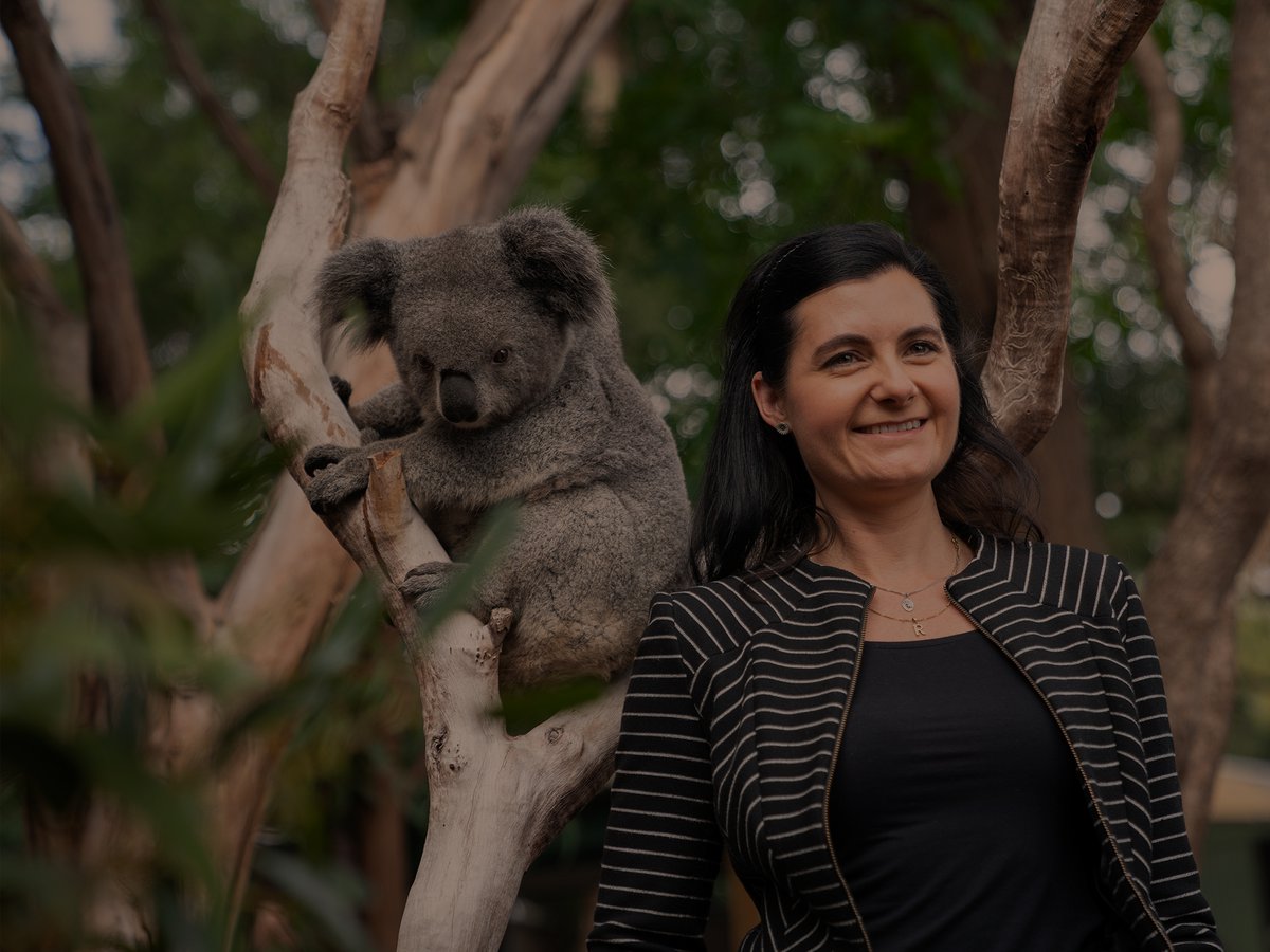 The Koala Genome - The Australian Museum