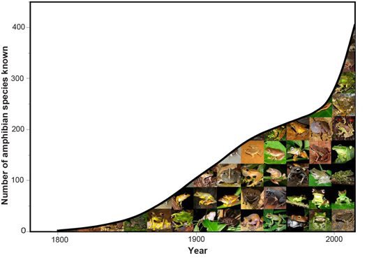 Closing the gap between species discovery and conservation - The ...