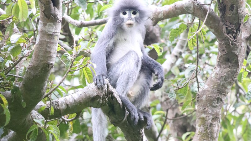 Discoveries and disruptions: 2021 in AMRI - The Australian Museum Blog