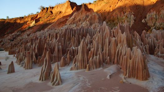 Reflections on Madagascar - The Australian Museum Blog
