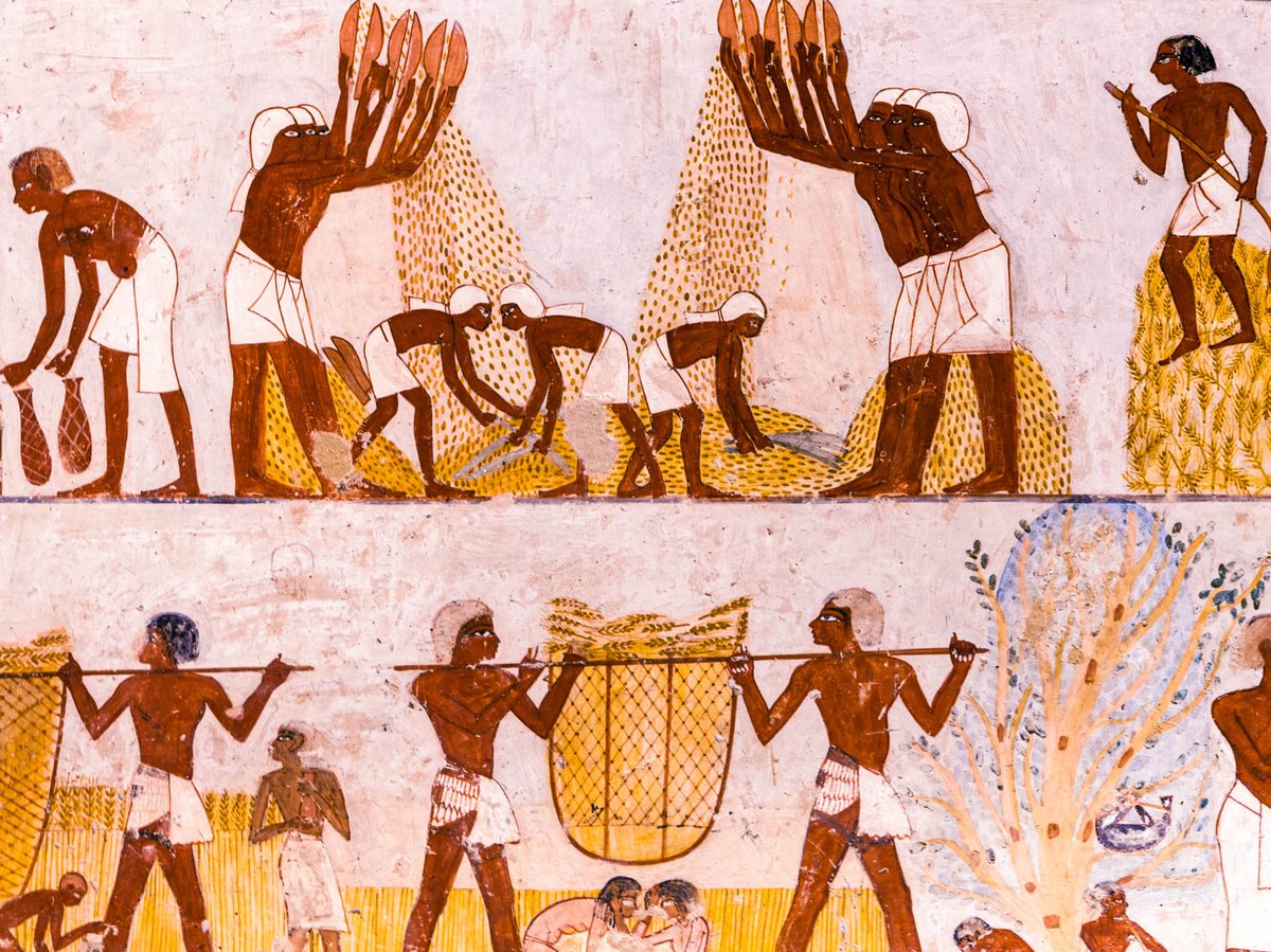 Saturday Lecture Series: Ramses Street - The Australian Museum Blog