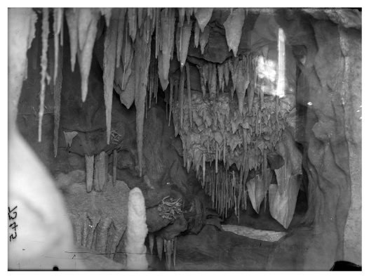 A Cave Made to Order - The Australian Museum Blog