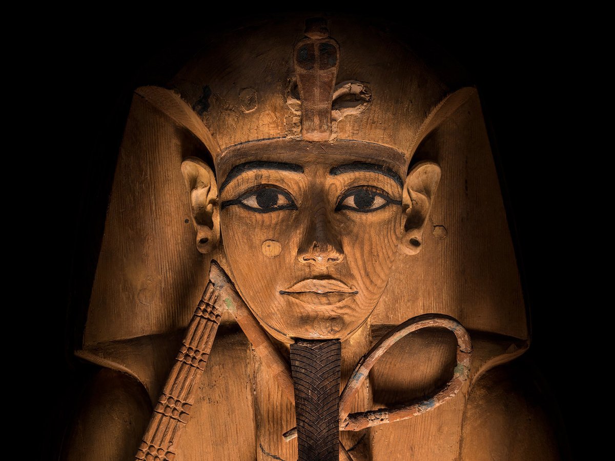 History learning resources - The Australian Museum