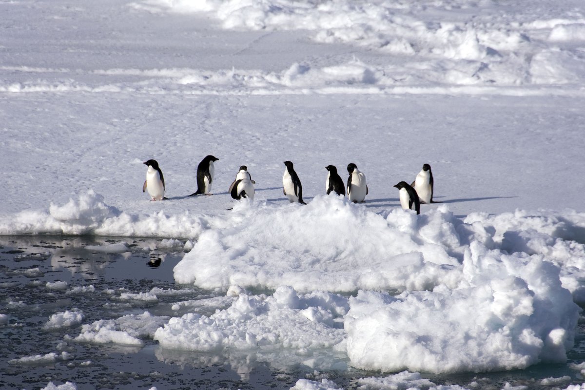 Eureka Talks Series: Antarctica - The Australian Museum Blog
