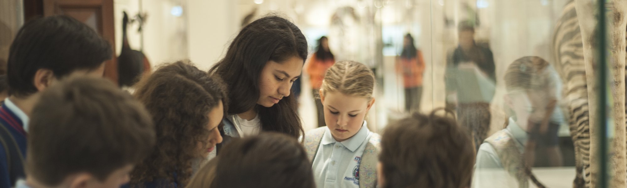 Wild Planet exhibition insights - The Australian Museum