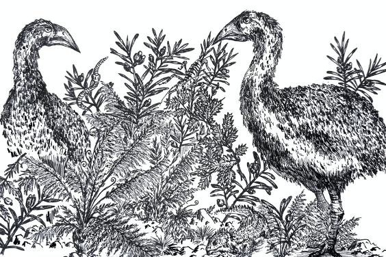 Art in science: a palaeontological perspective - The Australian Museum Blog