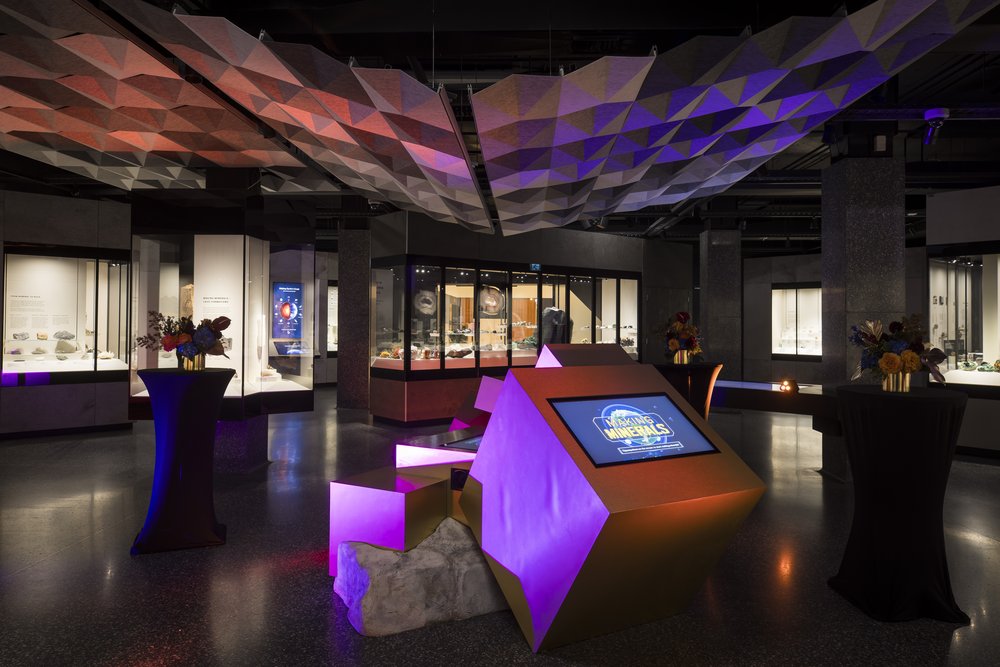 Australian Museum venue hire - The Australian Museum