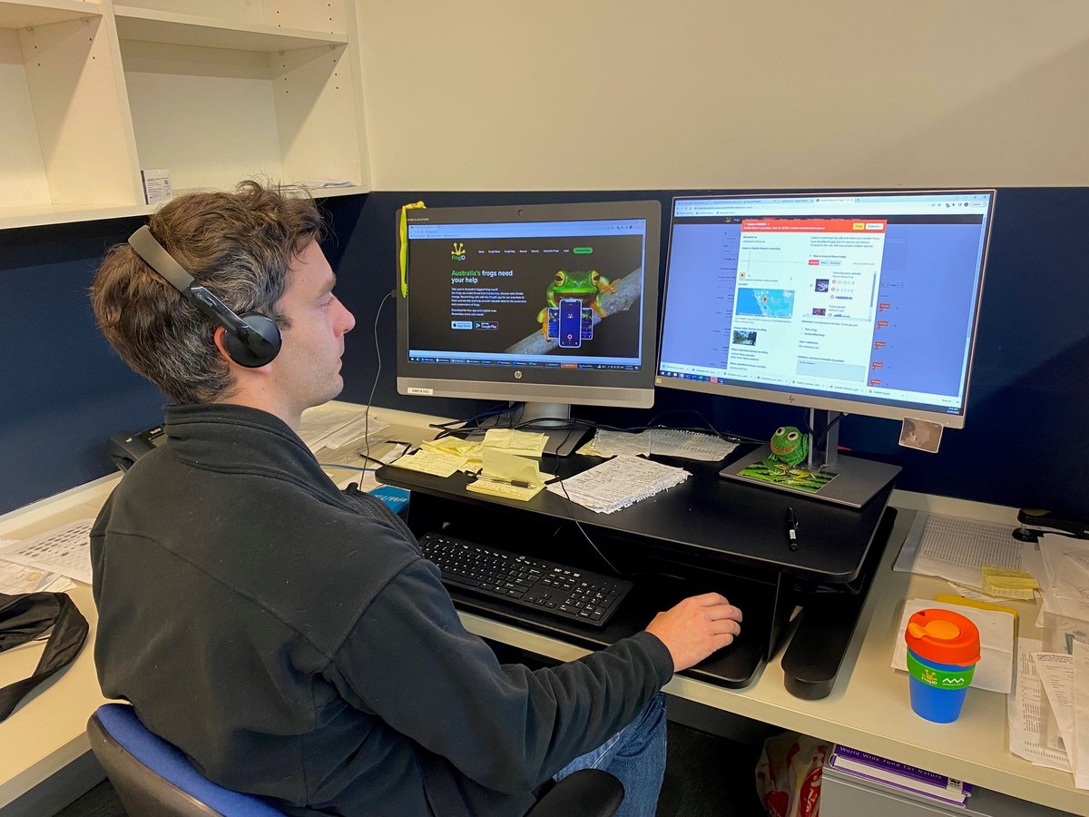 What’s that frog? Putting the public to the test with frog call ...