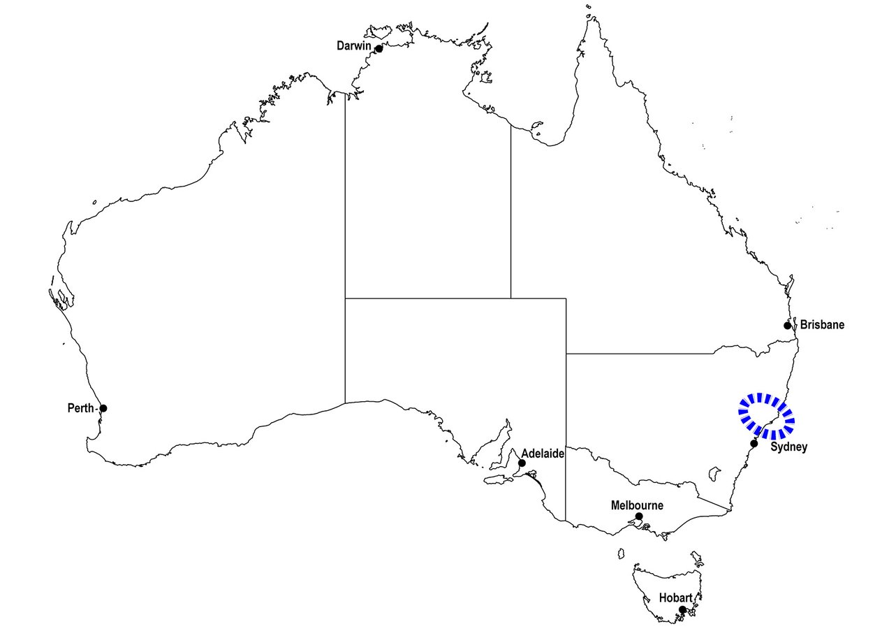 Newcastle Funnel-web Spider, Atrax christenseni - The Australian Museum