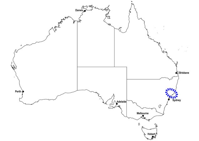 Newcastle Funnel-web Spider, Atrax christenseni - The Australian Museum