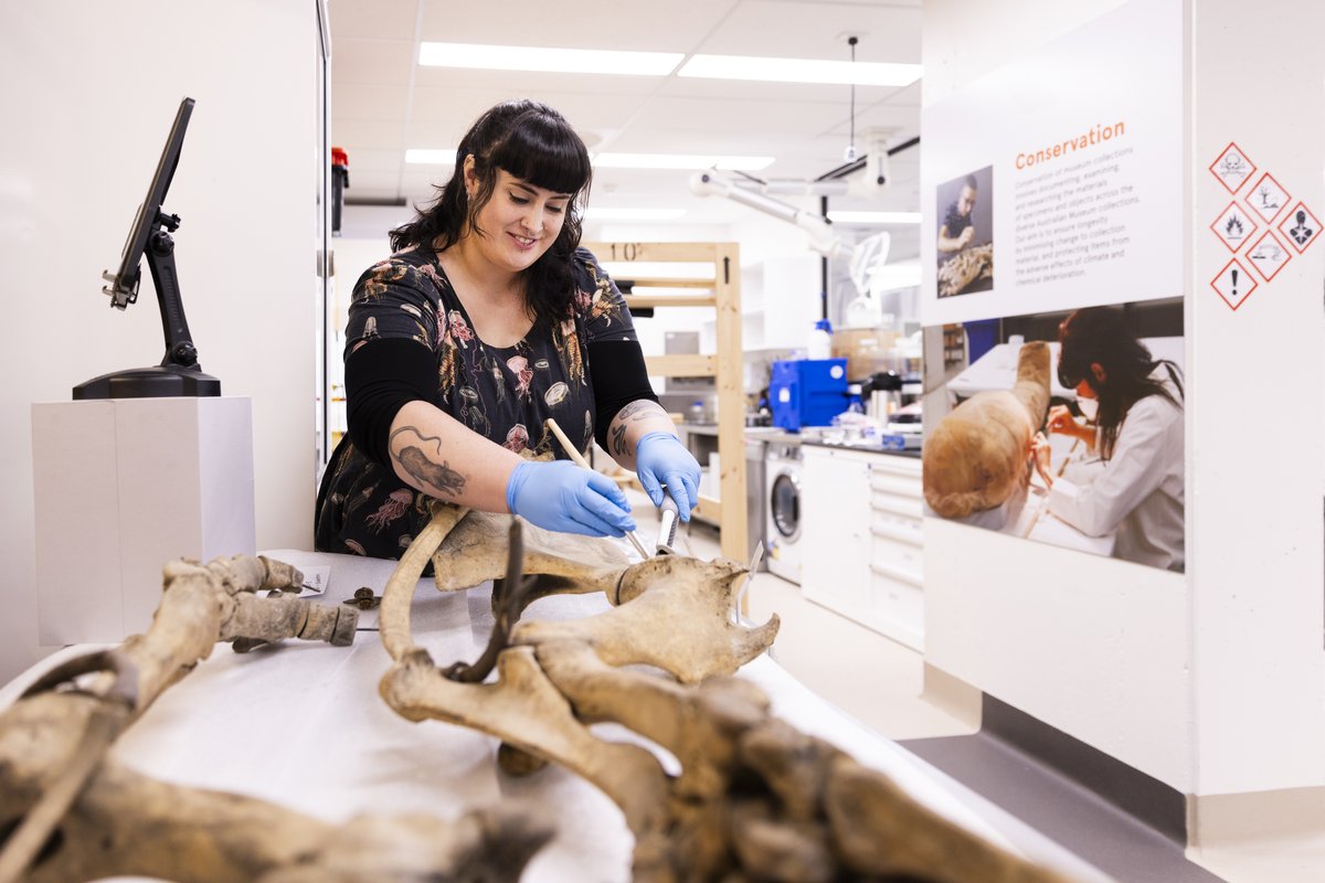 Sophie Phillips - The Australian Museum