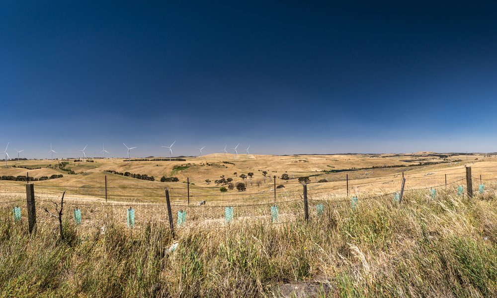 How are cow burps contributing to climate change? - The Australian Museum