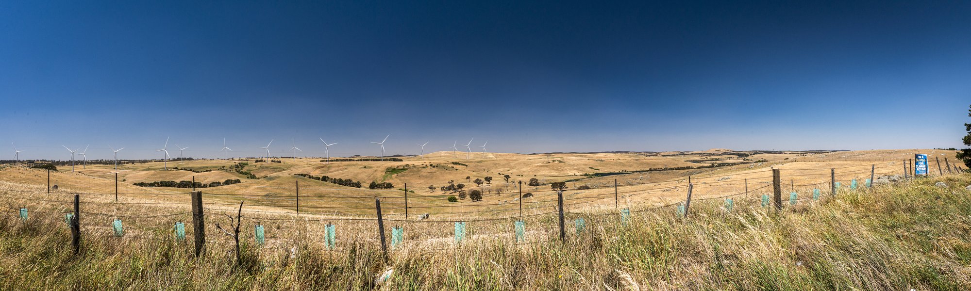 How are cow burps contributing to climate change? - The Australian Museum