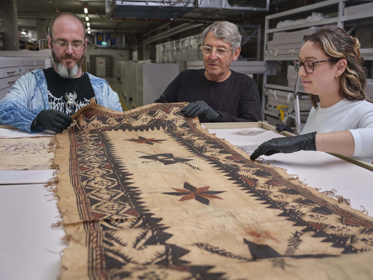 Anthony Potter - The Australian Museum