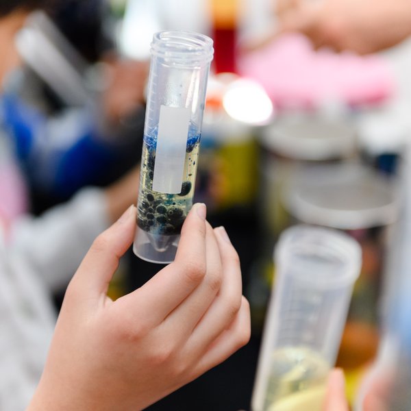Make your own pocket volcano - The Australian Museum