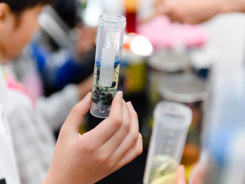 Make your own pocket volcano - The Australian Museum