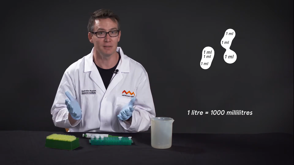 DNA barcoding - The Australian Museum