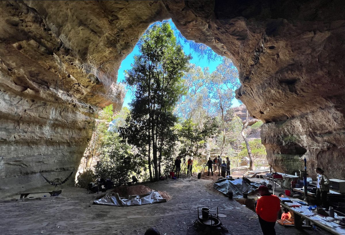 Dargan Shelter: Oldest human occupied Ice Age site found in the Blue ...
