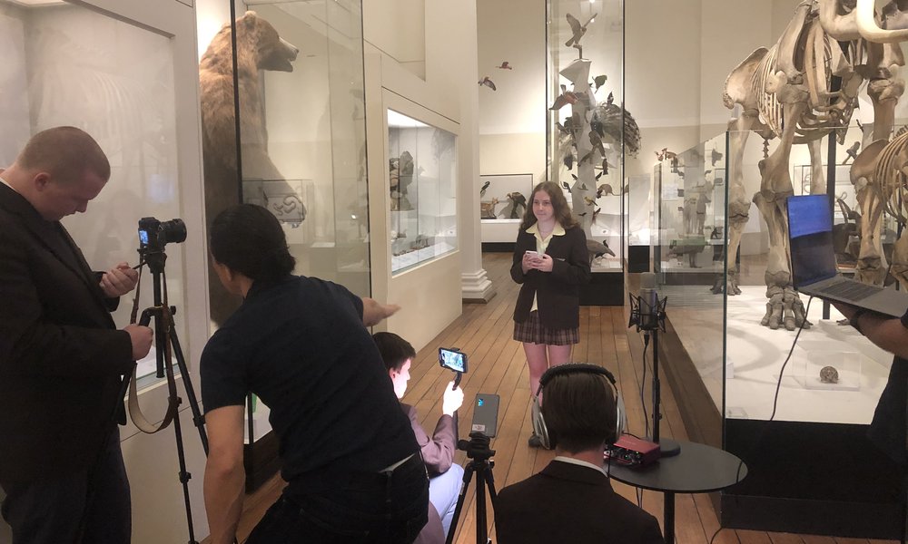 Create a film review of an exhibition
