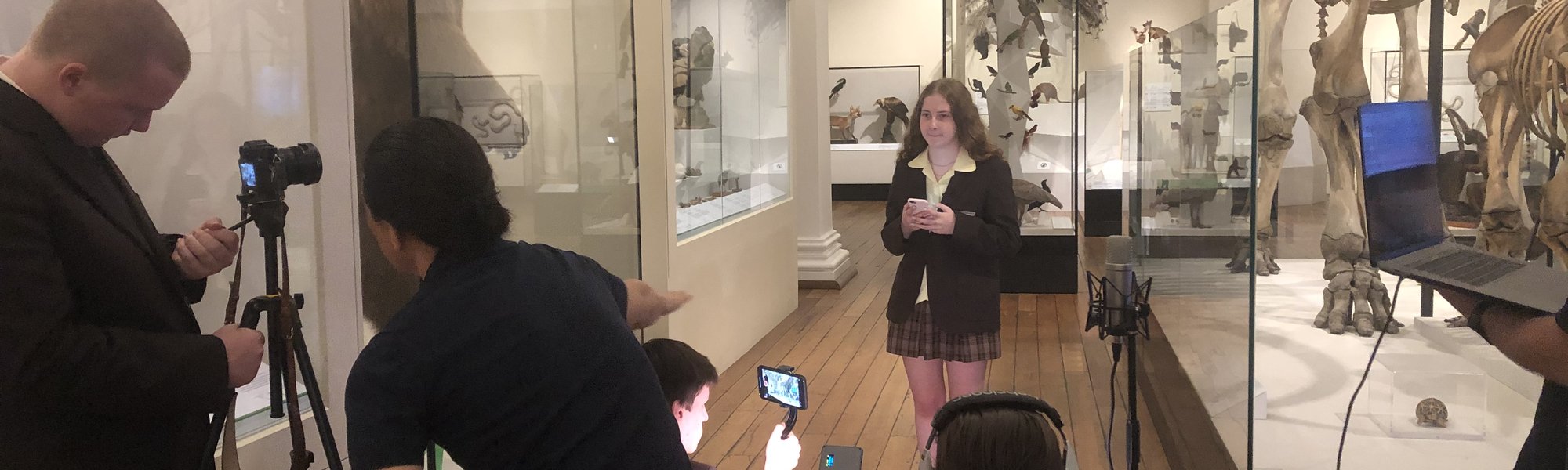 Create a film review of an exhibition