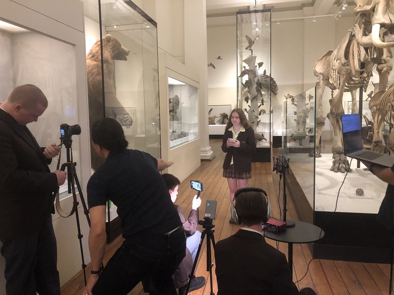 Create a film review of an exhibition