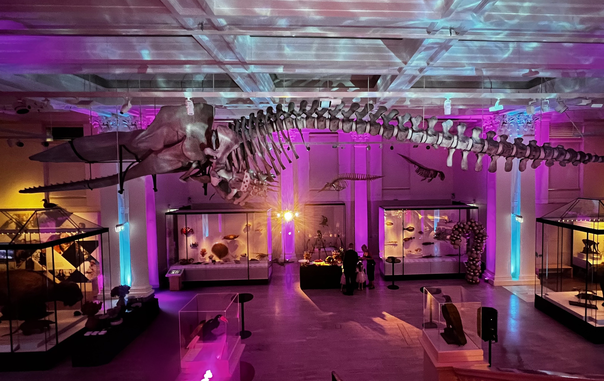 Australian Museum venue hire - The Australian Museum