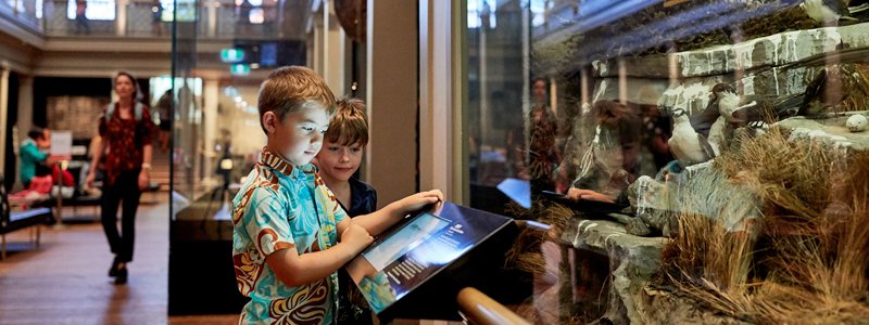 Make your own treasure box - The Australian Museum