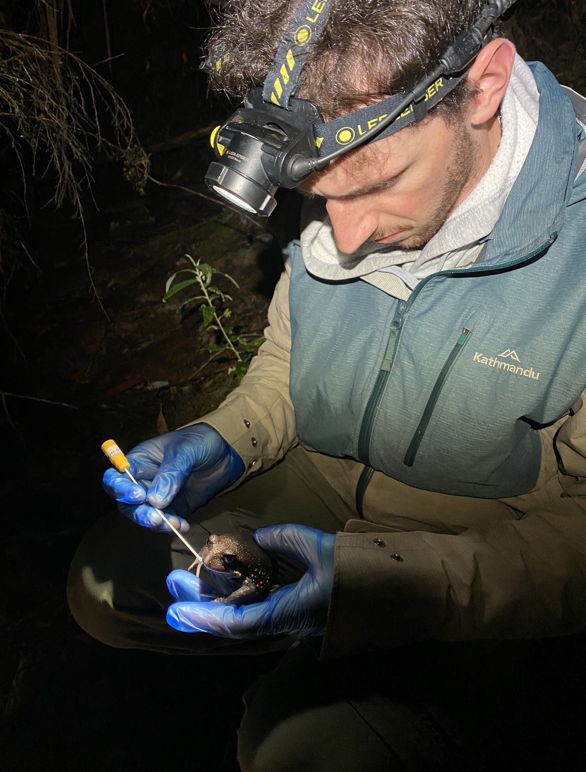 Matthew Clancy - The Australian Museum