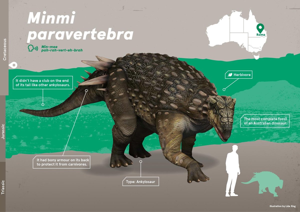 What are some Australian dinosaurs? - The Australian Museum