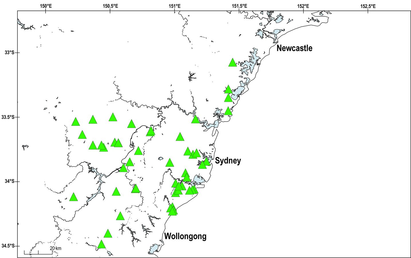 Southern Sydney Funnel-web Spider, Atrax montanus - The Australian Museum